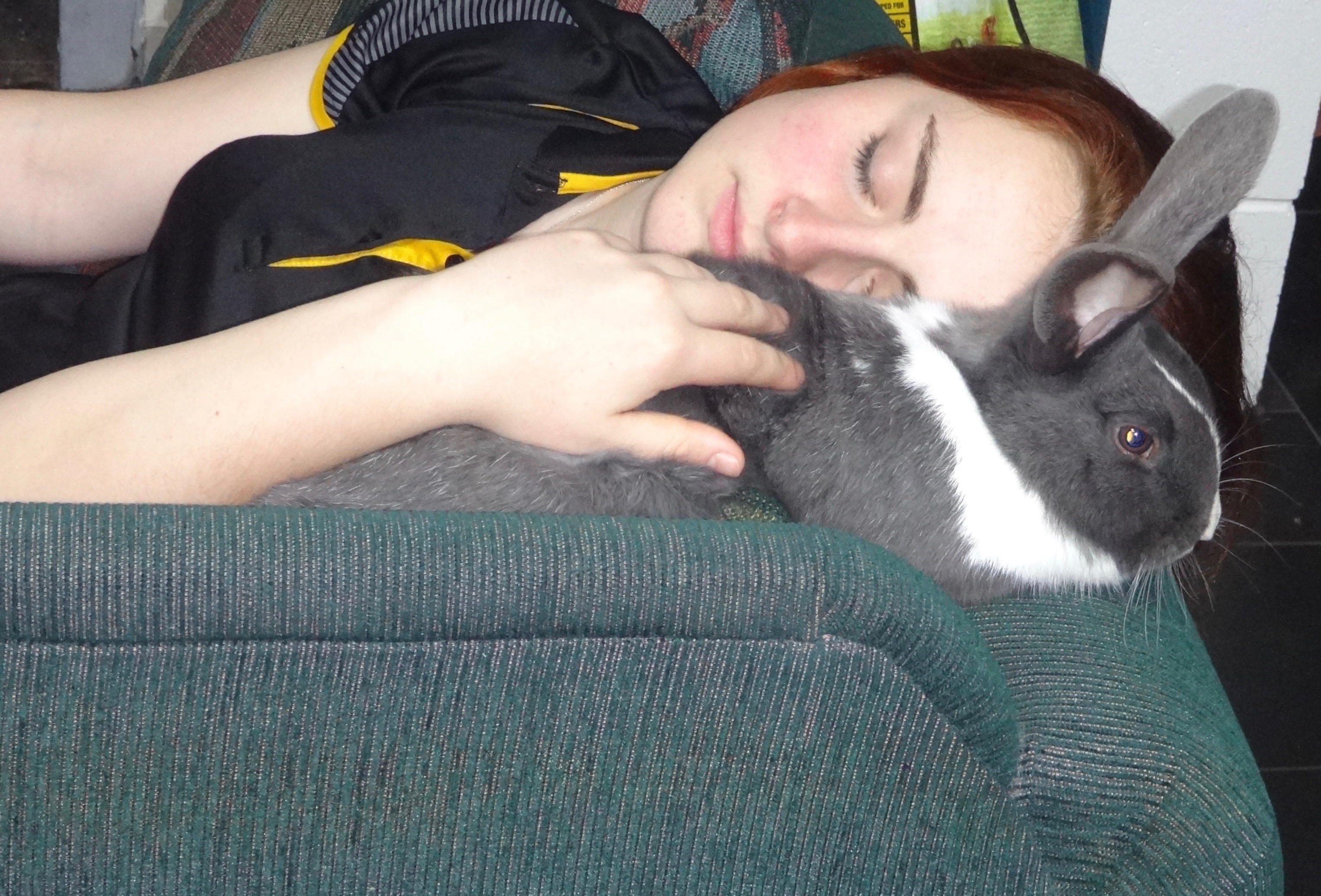 Bunnies are Better – Planetary Ecology